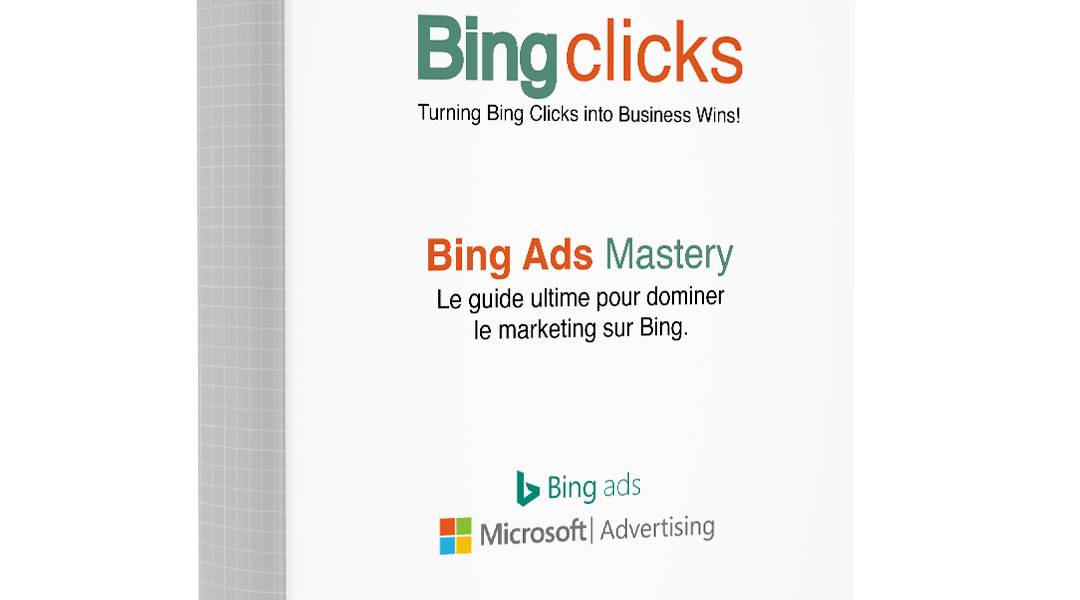 Maximisez Votre ROI avec Bing Ads grâce à Bingclicks - MaxConseil